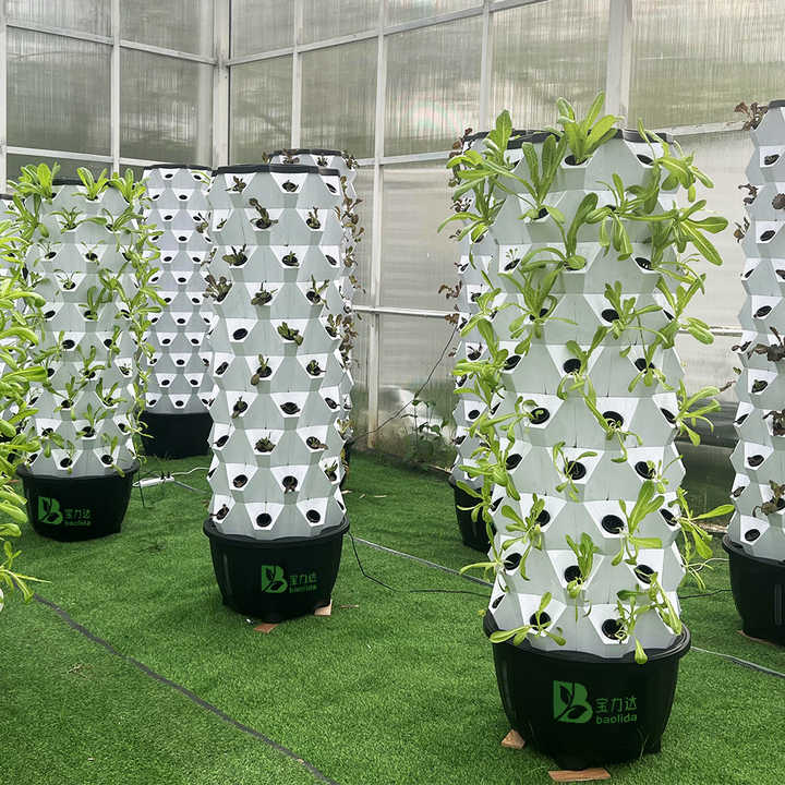 65L Hydroponic Vertical Farming System for Strawberry Greenhouse