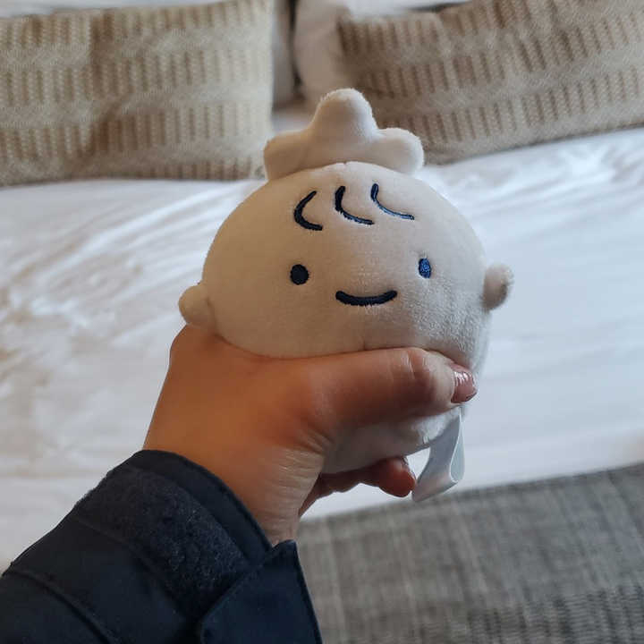 Customized Cute Plush Doll Pendant Custom Mochi Plushies with Elastic ...