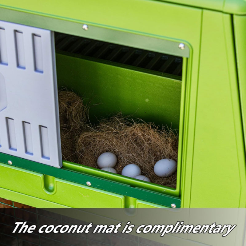 Large Plastic Chicken Coops - Durable & Spacious Homes