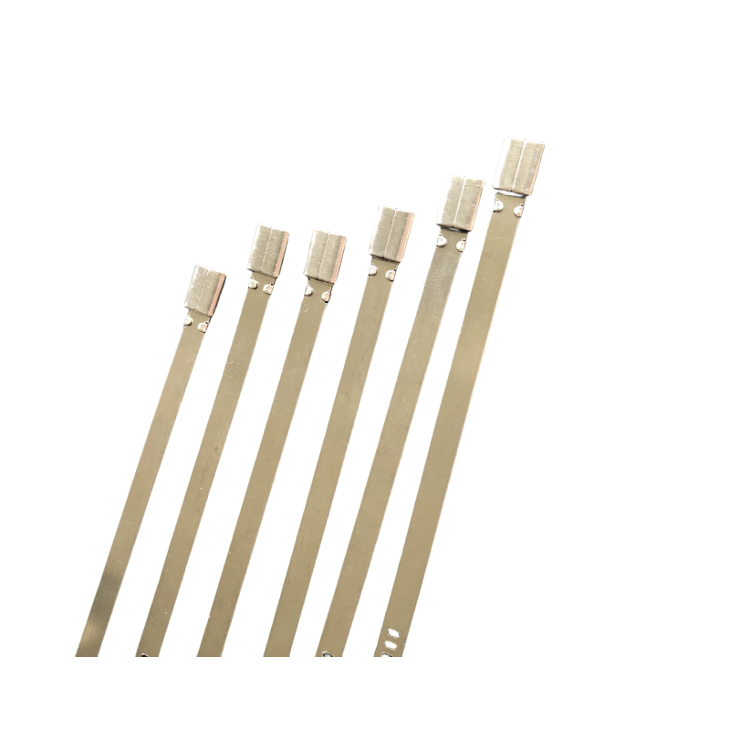 Stainless Steel Ladder Barb Lock Type Cable Tie-Single & Multi Barb ...