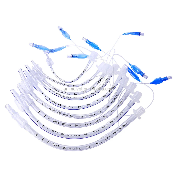 Reinforced Endotracheal Tube Introducer Veterinary Instrument ...