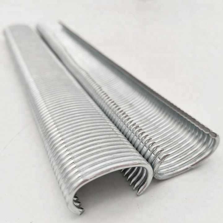 C24 Galvanized Steel SC7 15 Gauge 3/4'' Crown C Ring Staples