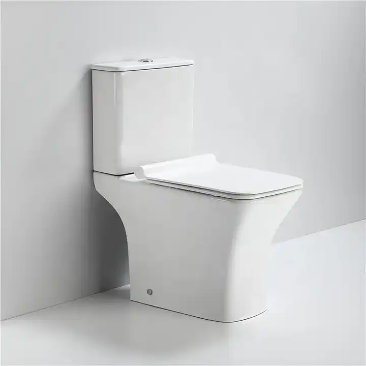 Modern Bathroom P Trap Water Closet Ceramic Rimless Washdown S Trap Two ...