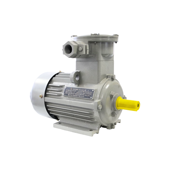 Dellite Ybbp 2.2KW/3hp 1420RPM B7 Mounting High-Efficiency Variable ...