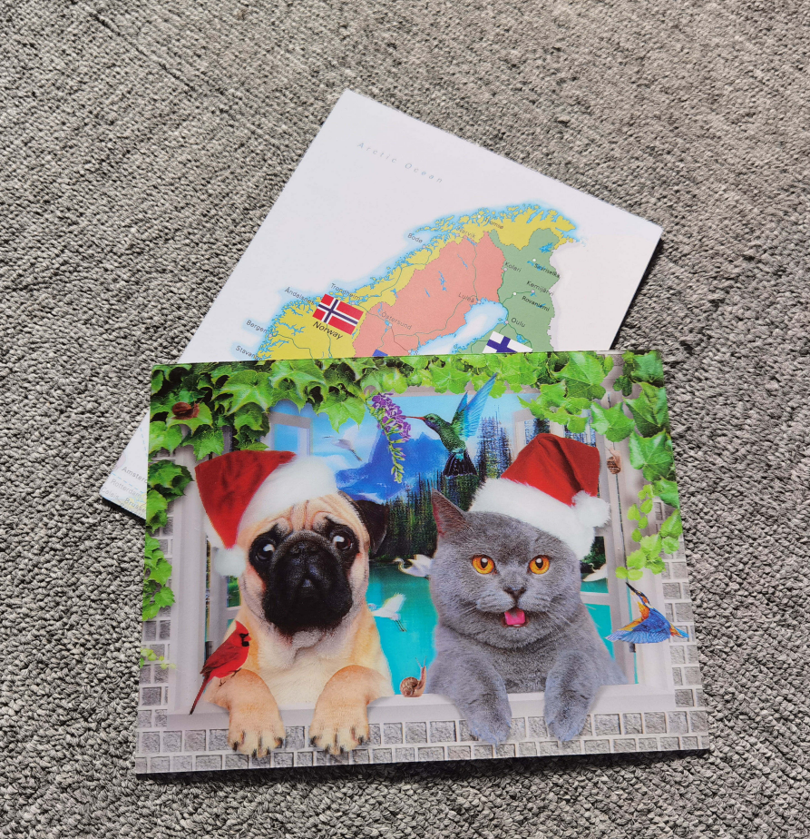 Custom 3D Lenticular Postcards Animal Gift Cards 3D Depth Flips ...