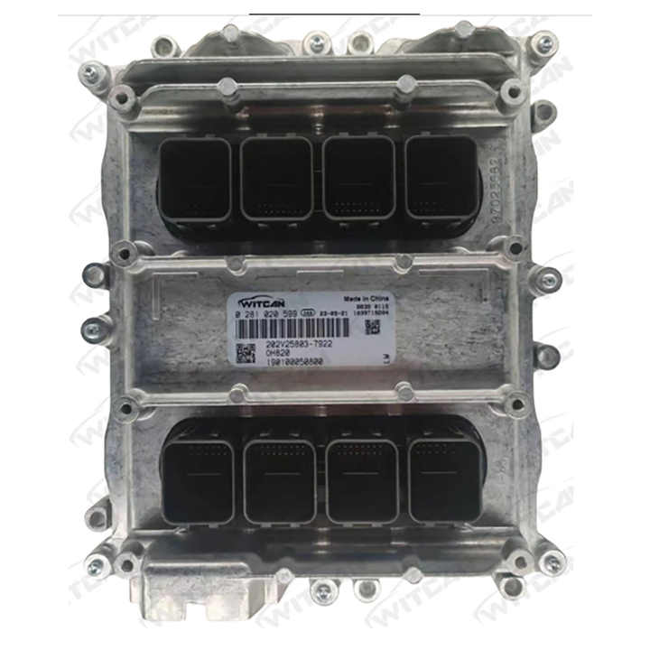 0281020599 - Standalone Continental ECU for SINOTRUCK Excavator