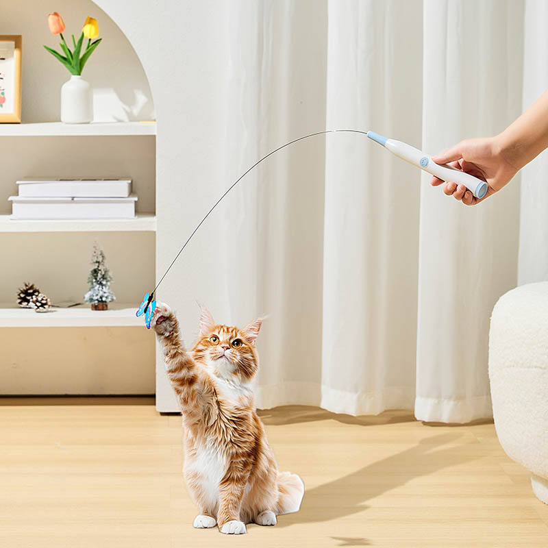ZMaker New Rechargeable Interactive Self Play Cat Teaser Wand with ...