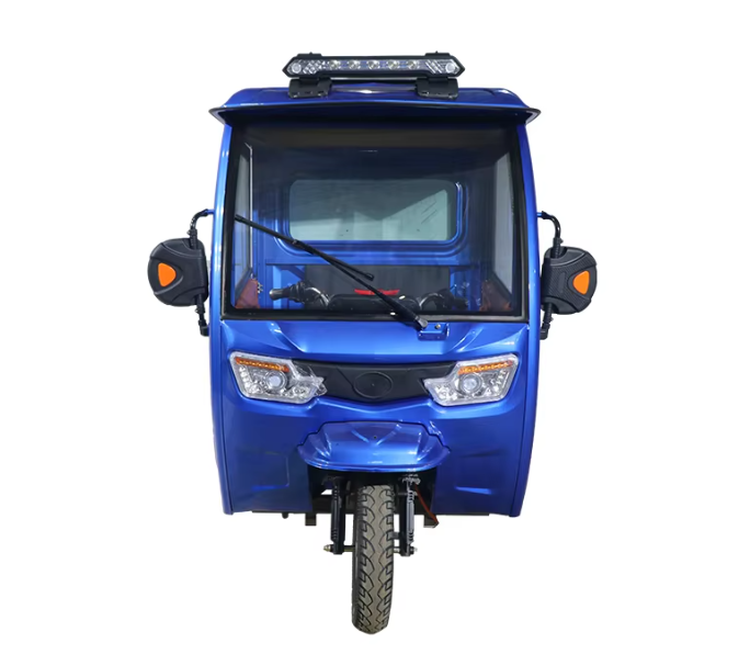 60v Cargo Electric Tricycles Closed Cargo 3-Wheel Electric Rickshaw ...