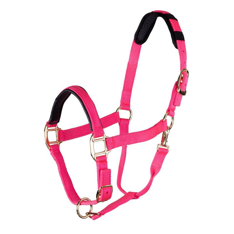 Custom Made Horse Endurance Full Nylon Halters Bridle Waterproof ...