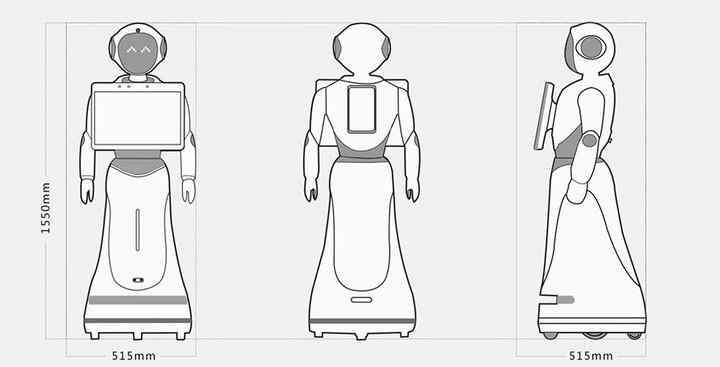 Alpha Robotics Alice - Programmable Humanoid Welcom Robot