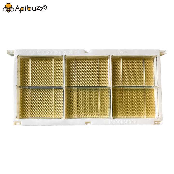 500g Plastic Comb Honey Frames and Cassettes Set for Beekeeping