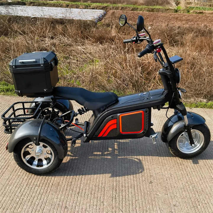 Citycoco Electric Tricycle - Cargo Steel 3000W Chopper