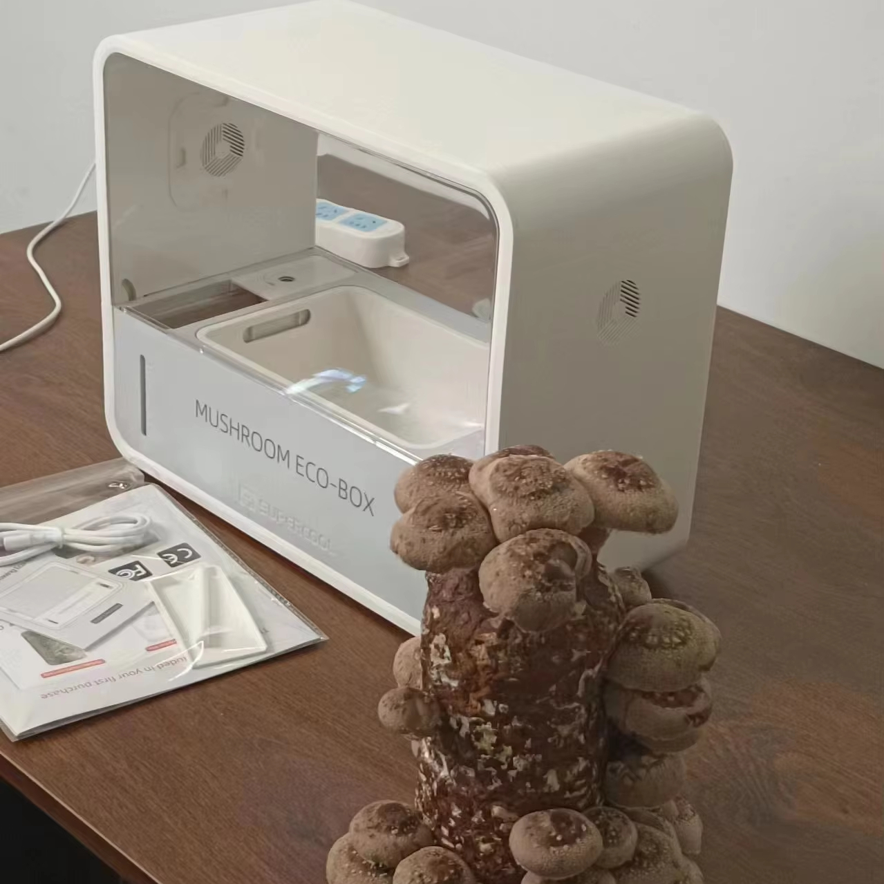 How to Choose the Best Mushroom Planting Kit for Beginners