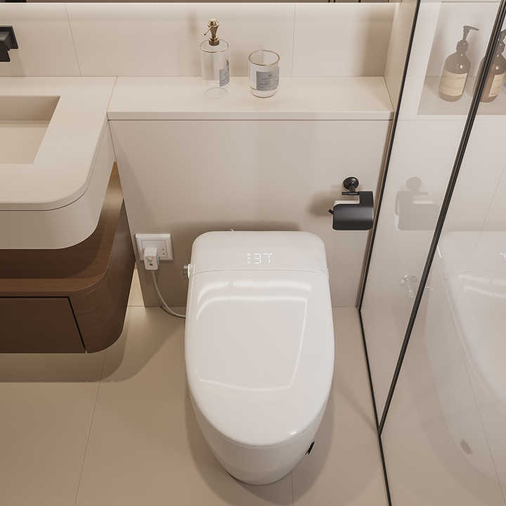 Luxury Fully Intelligent WC Remote Control Smart Water Closet with ...