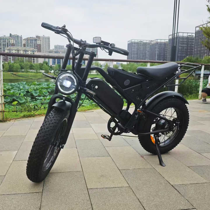 Electric Bike Promotion - 7 Speed Ebike from China