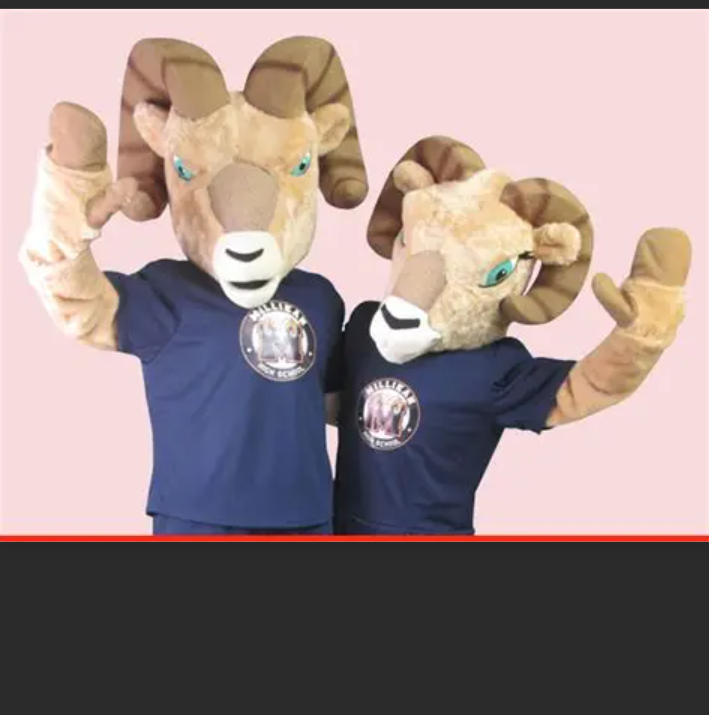 Popular Mascot Costume Cartoon Character Mascot Costumes Custom Made ...