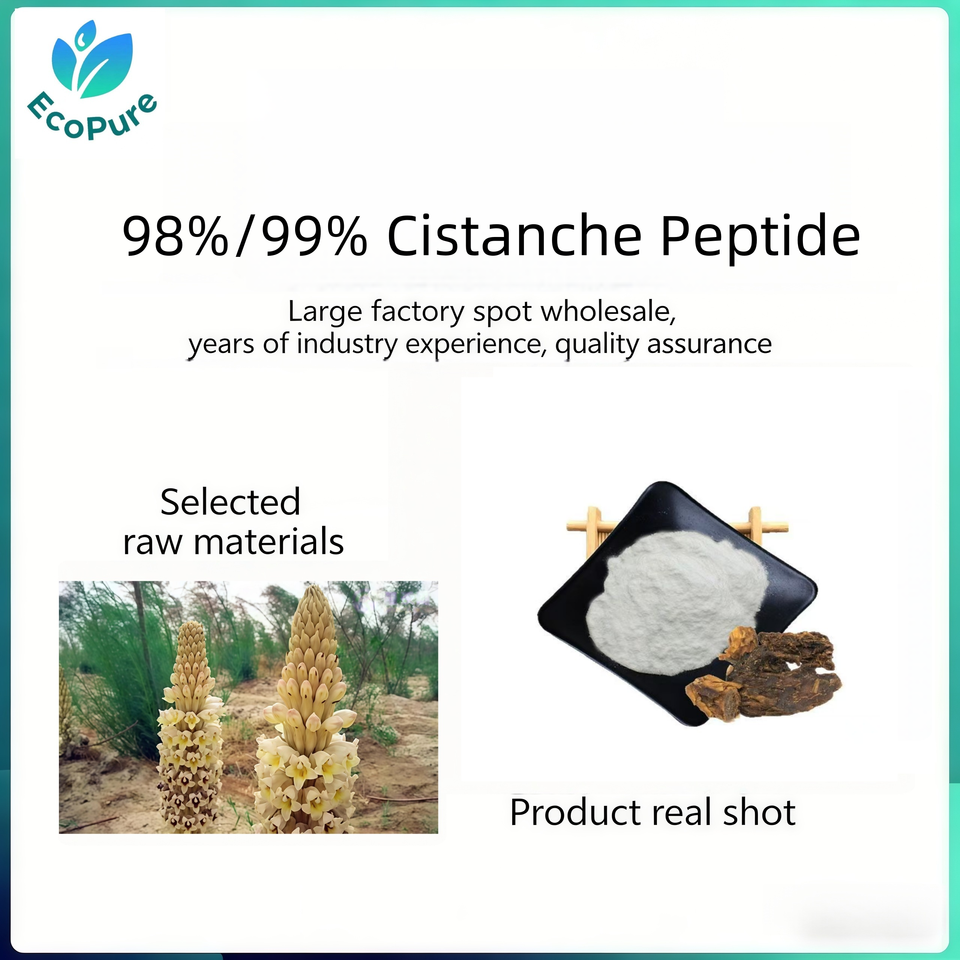98%/99% Purity Cistanche Peptide Powder | Natural Cistanche Deserticola ...
