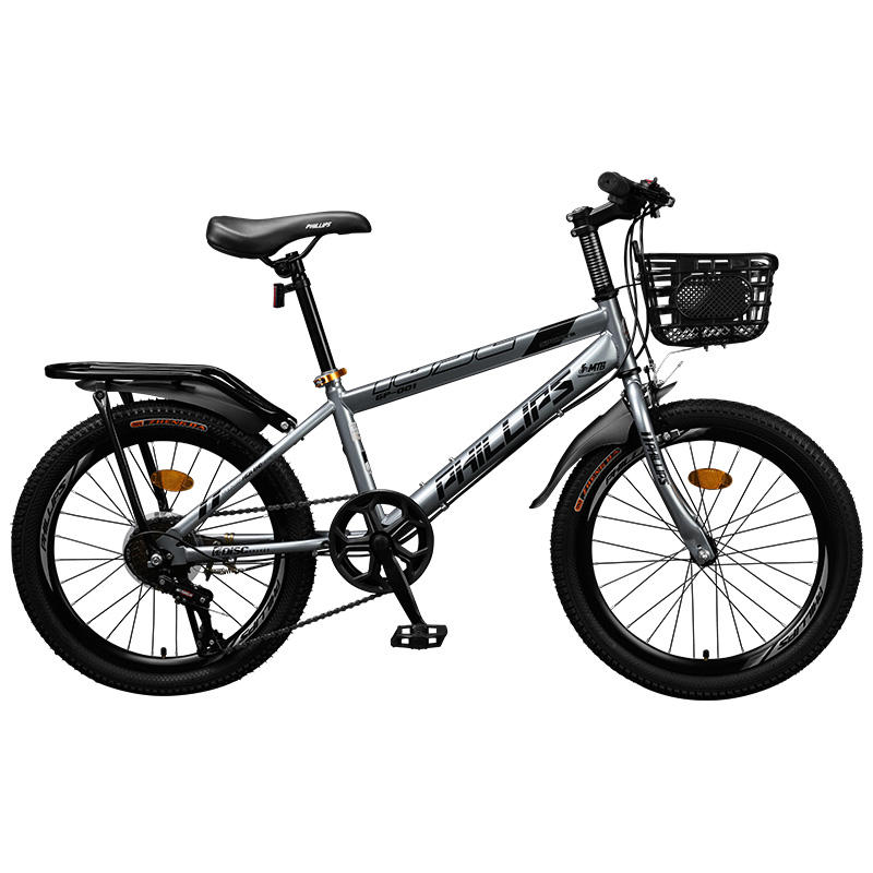 How to Choose the Best Bike Philips: A Complete Buying Guide