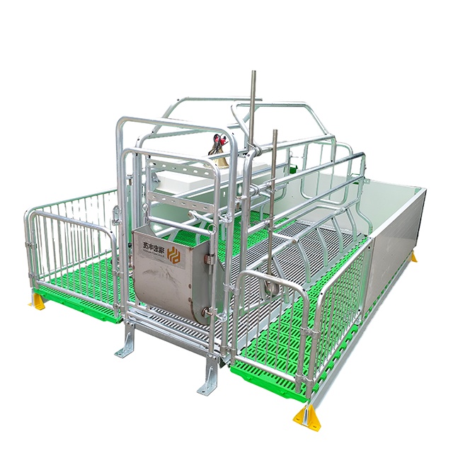 2025 Pig Cages - Durable Galvanized Farrowing Crates