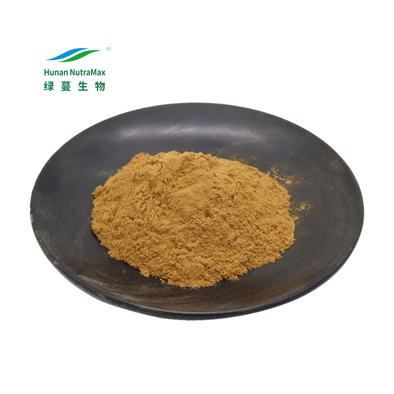 Unique Selection of yucca foods for Global Business Buyers