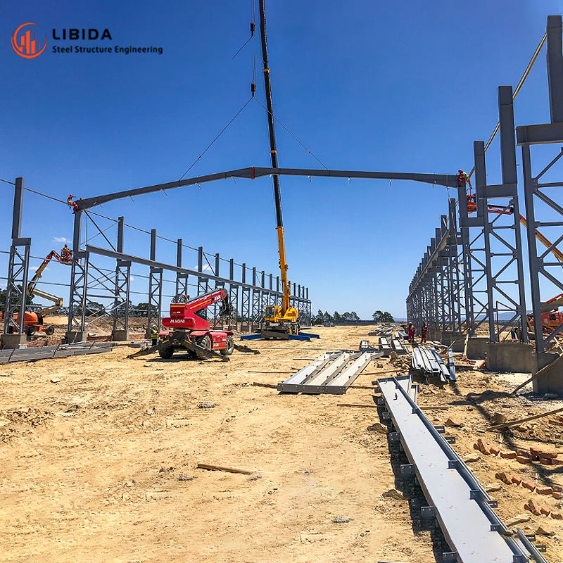 Professional Design Mezzanine Steel Structures Frame Building