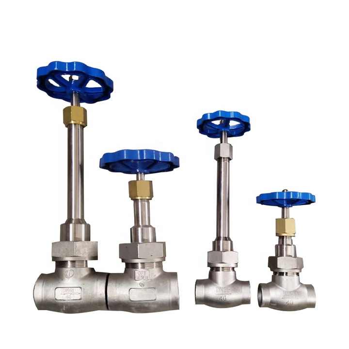 Cryogenic Globe Valves - Control Low Temperature Fluids
