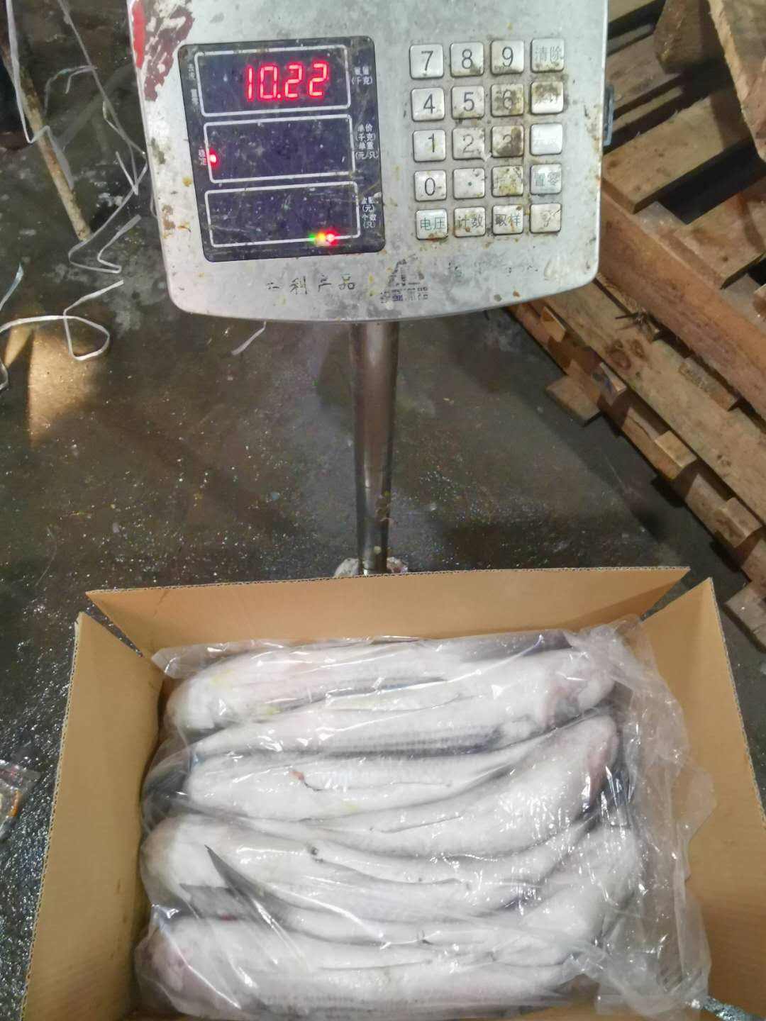 How to Choose the Best Hunting Fish Gear for Your Needs