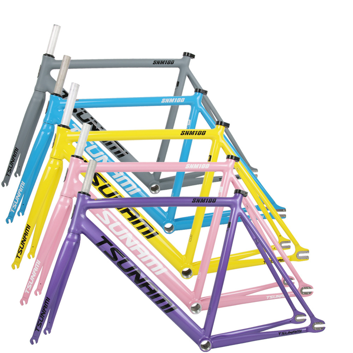For TSUNAMI SNM100 Pioneer Fixed Gear Bicycle Frame Aluminum Material ...