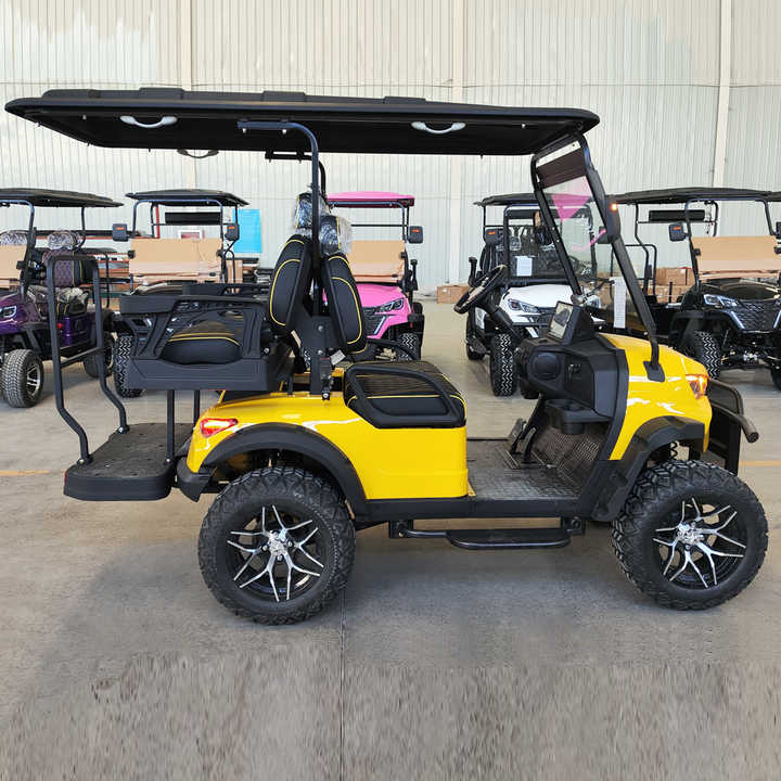 SEEWORLD Brand 48V CE Certified Electric 3-4 Seater Hotel Buggy 30-50Km ...