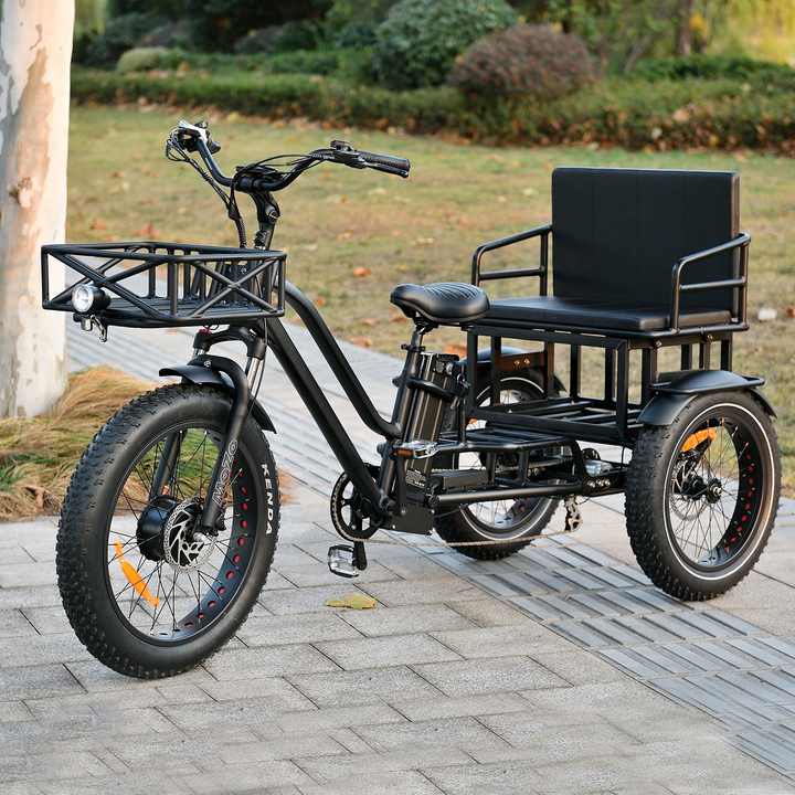 Custom Your Brand Logo on 3 Wheel Cargo Electric Tricycles