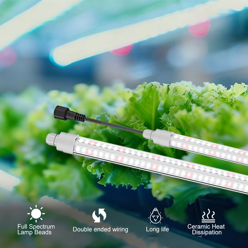 Commercial Full Spectrum Indoor Growing Lettuce Grow LED Lights for ...