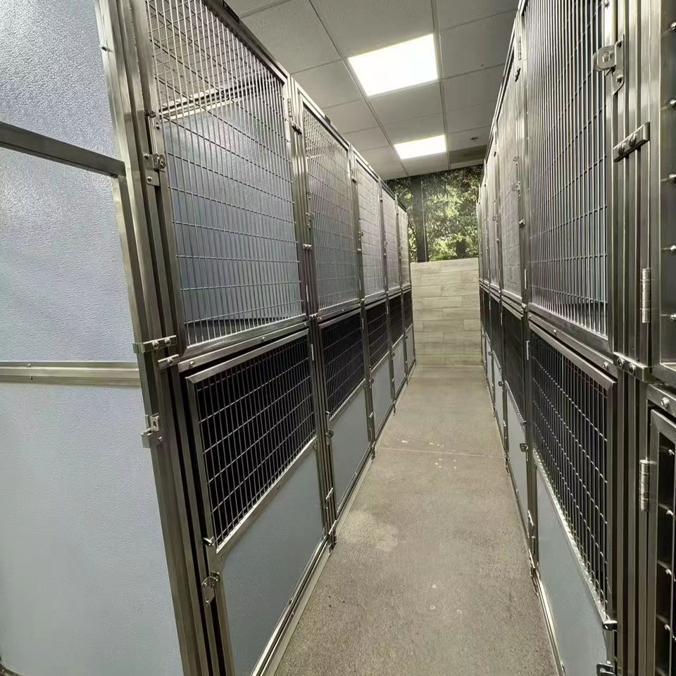 Glass Doors / HDPE Panels Kennel Run Dog Boarding Facility Modular ...