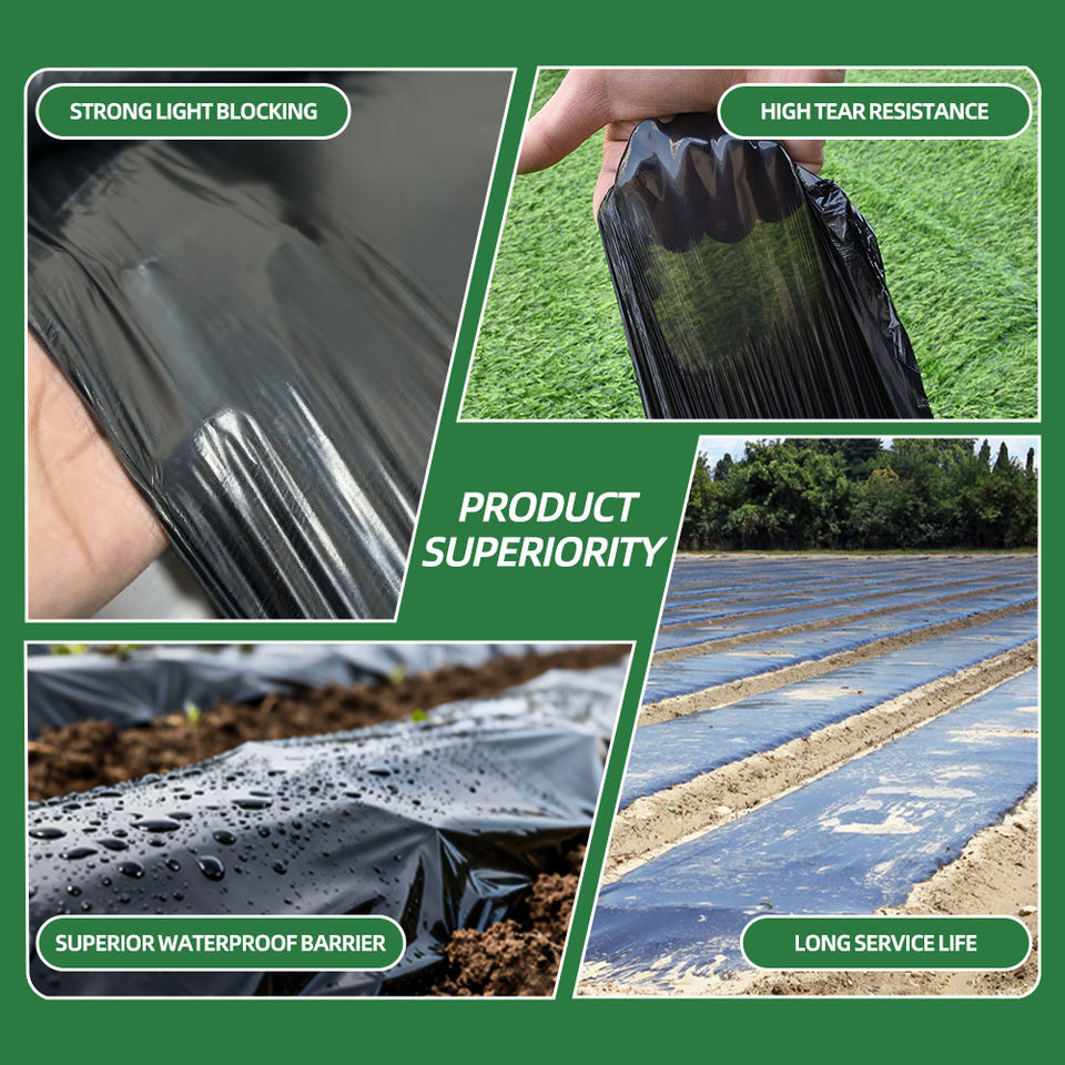 Black LDPE Mulch Film 50cm Width 6mic Thick Agricultural Plastic ...