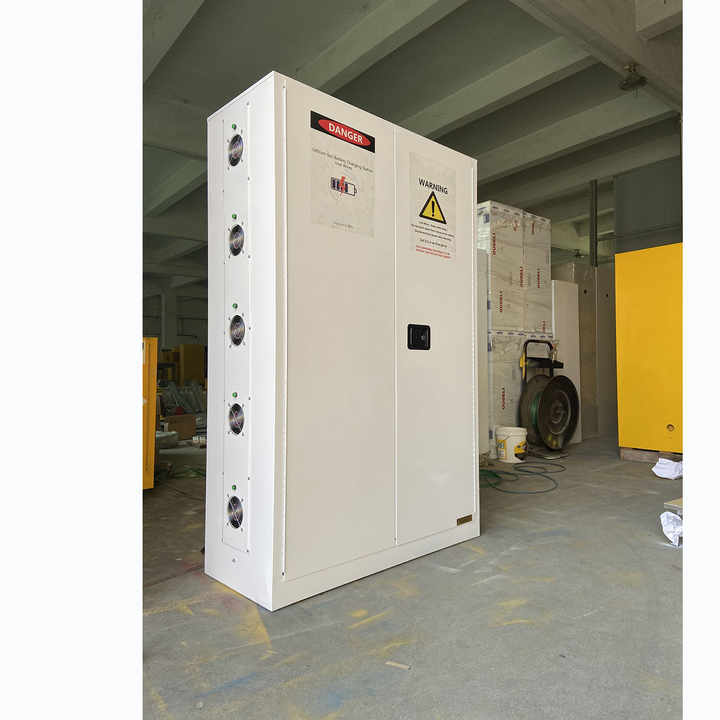 IP54 Fireproof Explosion-Proof Lithium Battery Safety Cabinet Outdoor ...