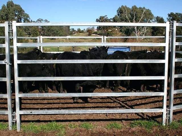 Portable Livestock Fencing Panels for Cattle & Horses-Farm Fence ...