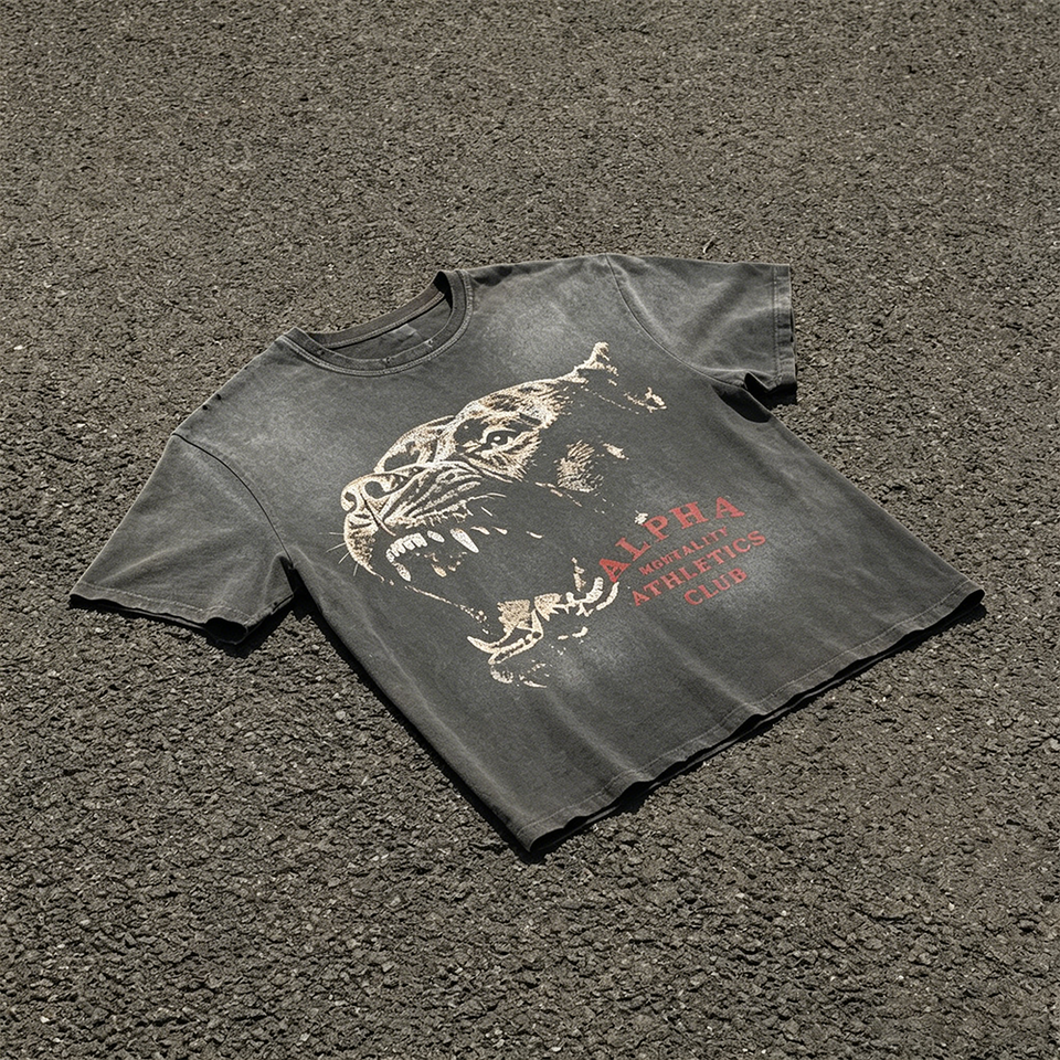 Y2K Streetwear Oversized Tee Double Sided Distressed Pitbull Graphic ...