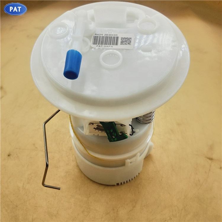PAT Fuel Pump Assembly for Peugeot 307, Citroen C4 - Direct Replacement ...