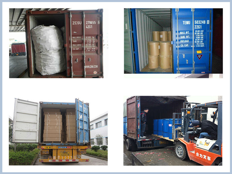 PP Raschig Rings for tower packing PVDF Random Packing Plastic Raschig Ring For Stripping Tower