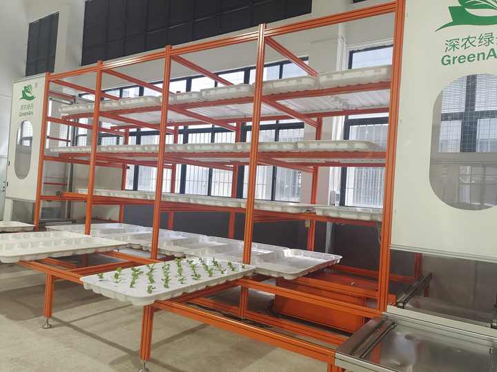 leafy vegetable plant factory 40HQ container farm hydroponic system ...
