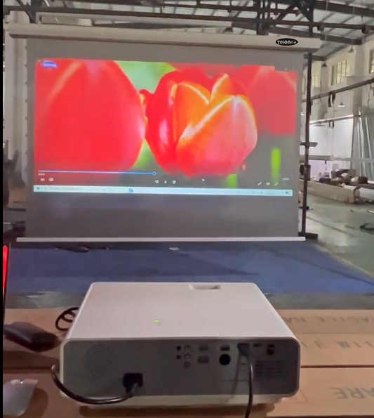 TELON Hot Sale 100" 120 "16:9 in Ceiling Tab Tensioned ALR Projection ...