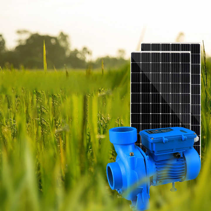 Bison 48v Solar Water Pump 1hp 2'' Inch Solar Energy Water Pump 0.75kw Surface Solar Water Pump ...