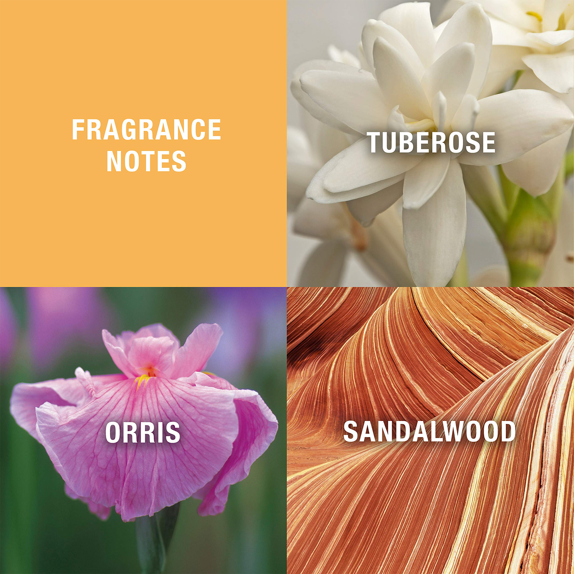 How to Choose the Best Body Powder Perfumed: A Complete Buying Guide