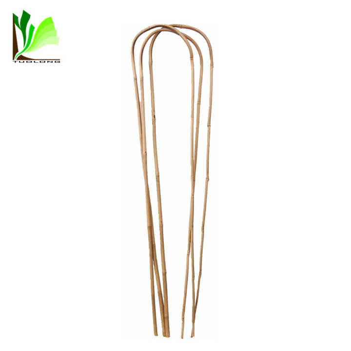 Bamboo U Hoops - Supportive Garden Plant Climbing Poles