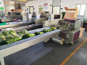 Highly Durable Taffy Wrapping Machine For Efficiency - Alibaba.com