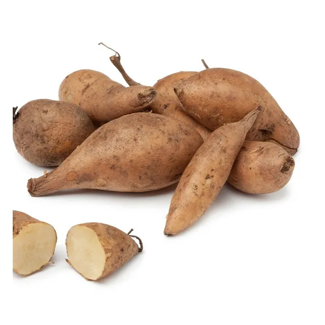 How to Choose the Best Yacon Fruit: A Complete Buying Guide