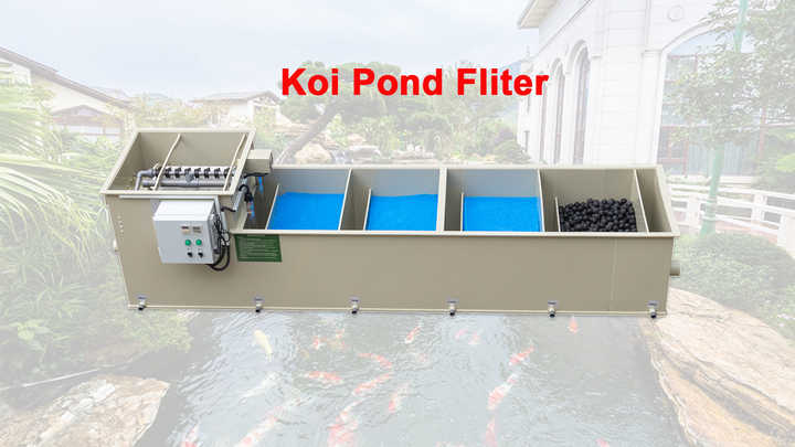 Qlozone Landscape Fish Pool Filtration Equipment - Bio UV Drum Filter