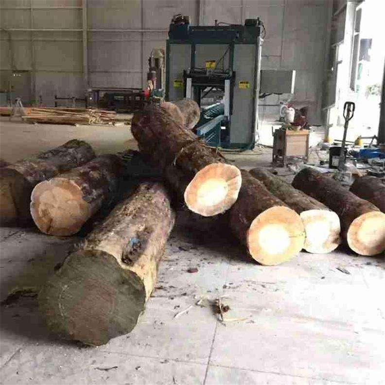 High-accuracy Round Log Cut off Saws - Precise & Efficient