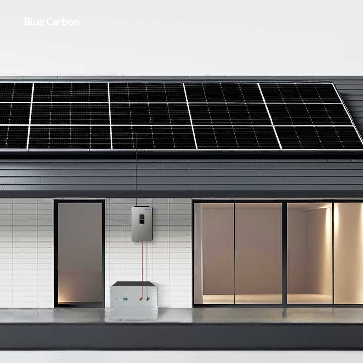 Blue Carbon Solar Batteries - Reliable off-Grid Solutions