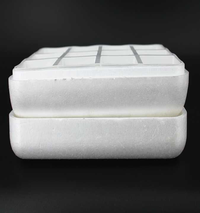 Customized EPS Foam Packaging - Shock-Proof Ice Cream Containers