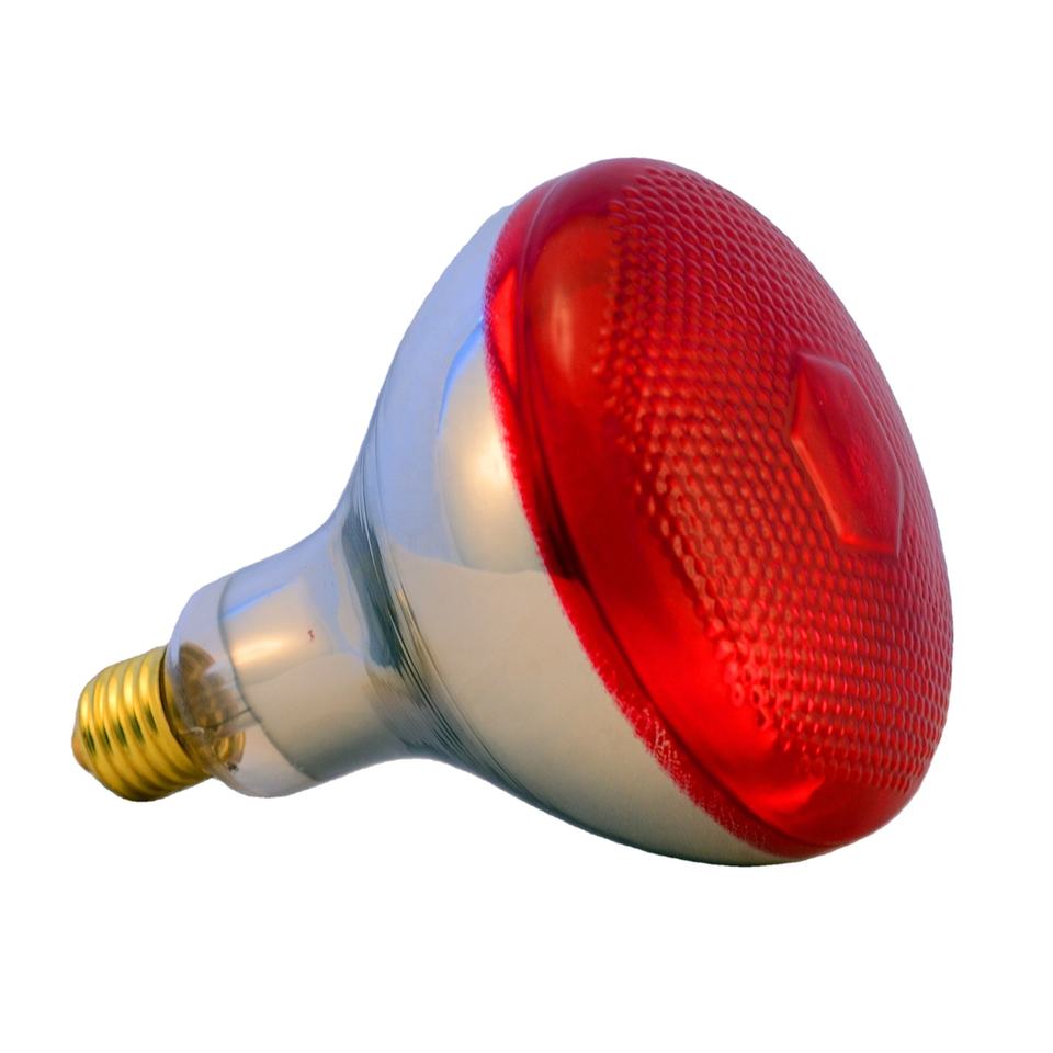 Guanyifarm Poultry Infrared Bulb IR 250W E26 E27 Par38 Infrared Heat ...